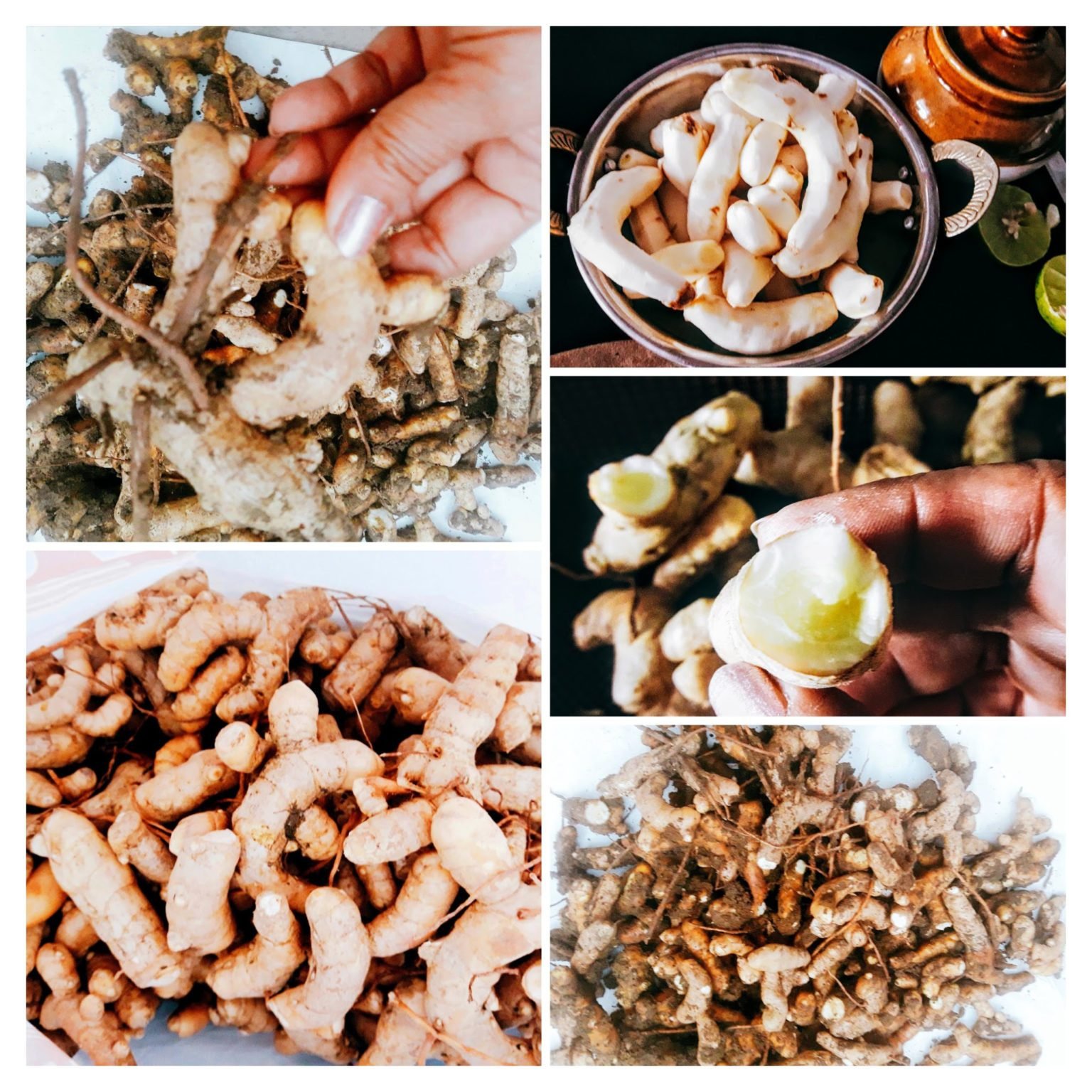 Andhra Style Mamidi Allam Pachadi or Mango Ginger Pickle