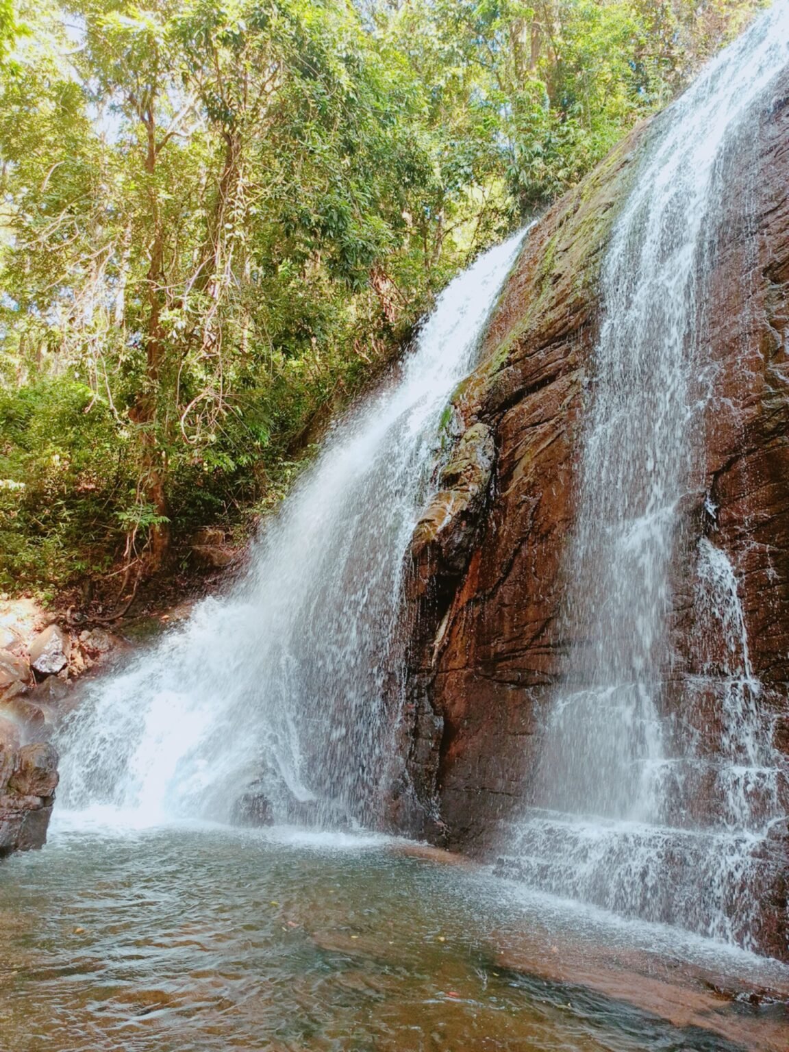 Ayatana, Coorg | Natural Paradise - Wordsmith Kaur