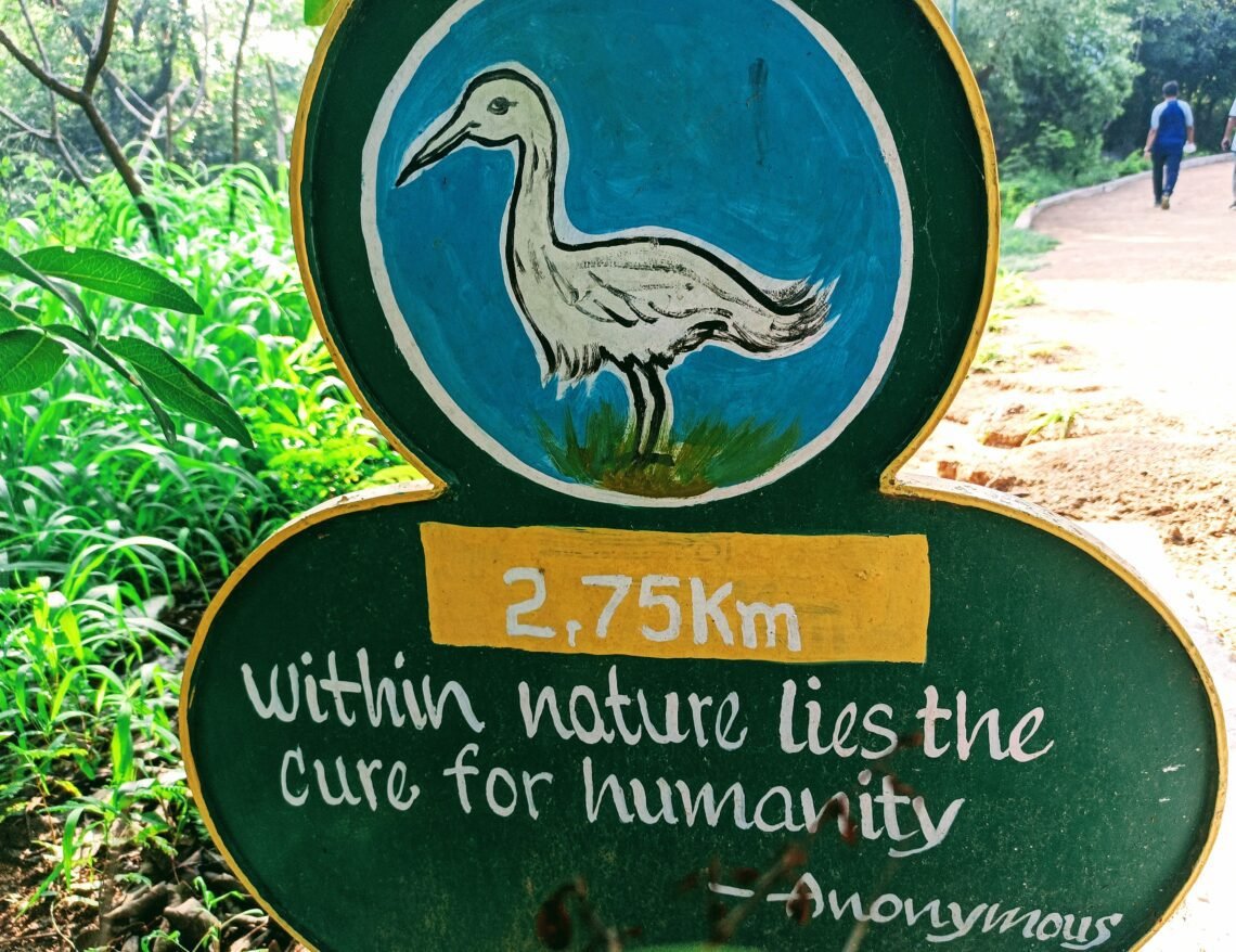 How Nature Benefits Mental Health - Wordsmith Kaur