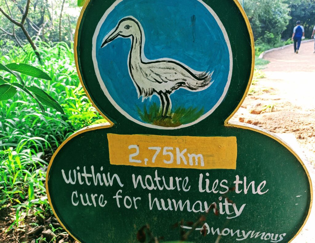 How Nature Benefits Mental Health - Wordsmith Kaur