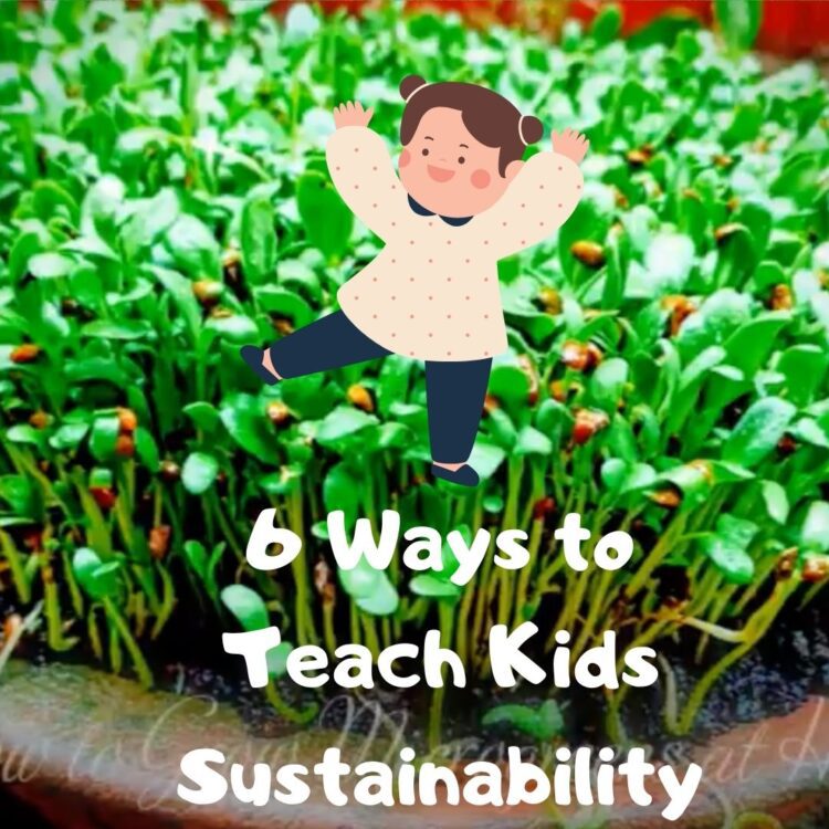 6 Ways to Teach Kids About Sustainability
